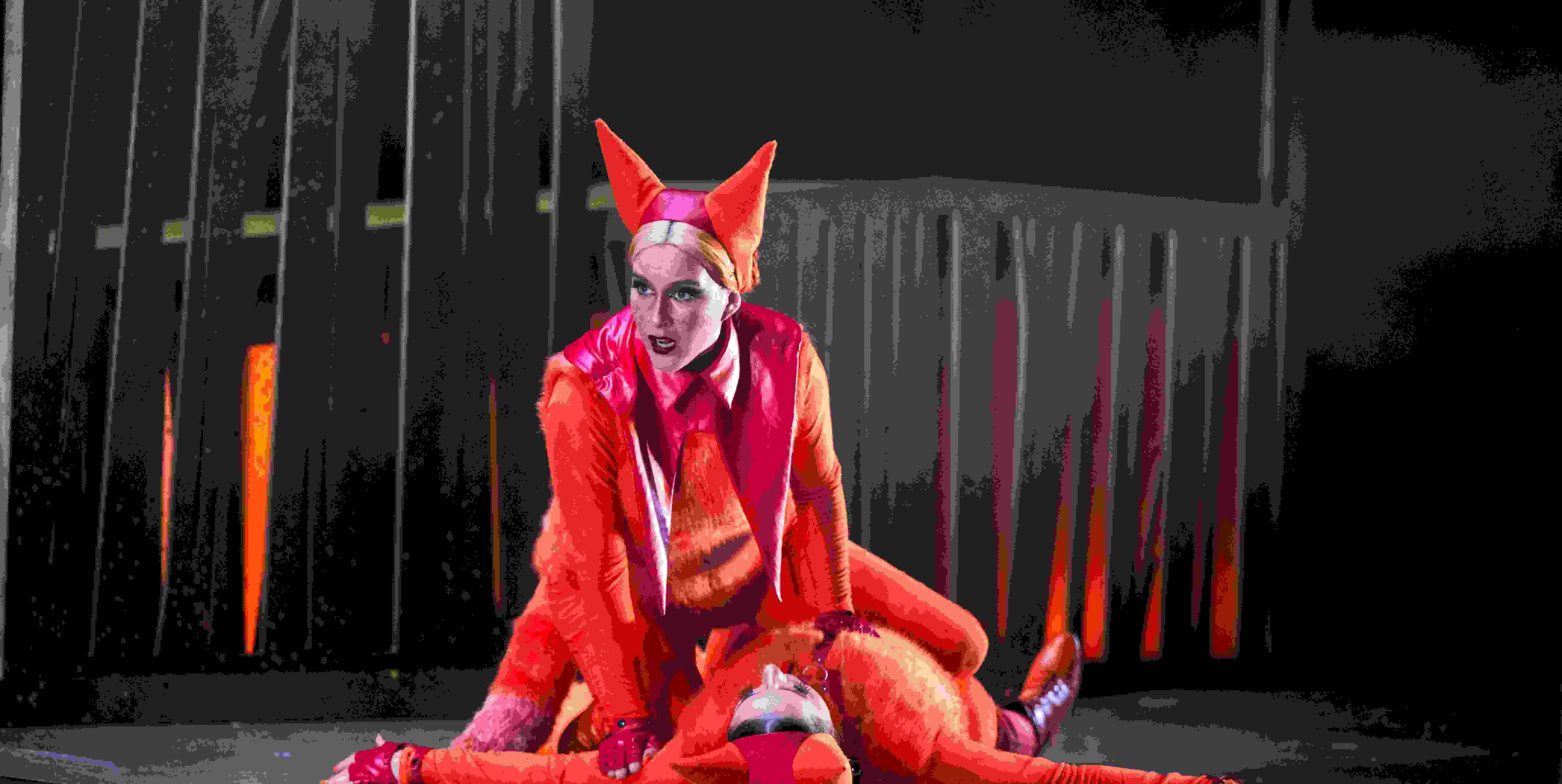 The Cunning Little Vixen | Irish National Opera